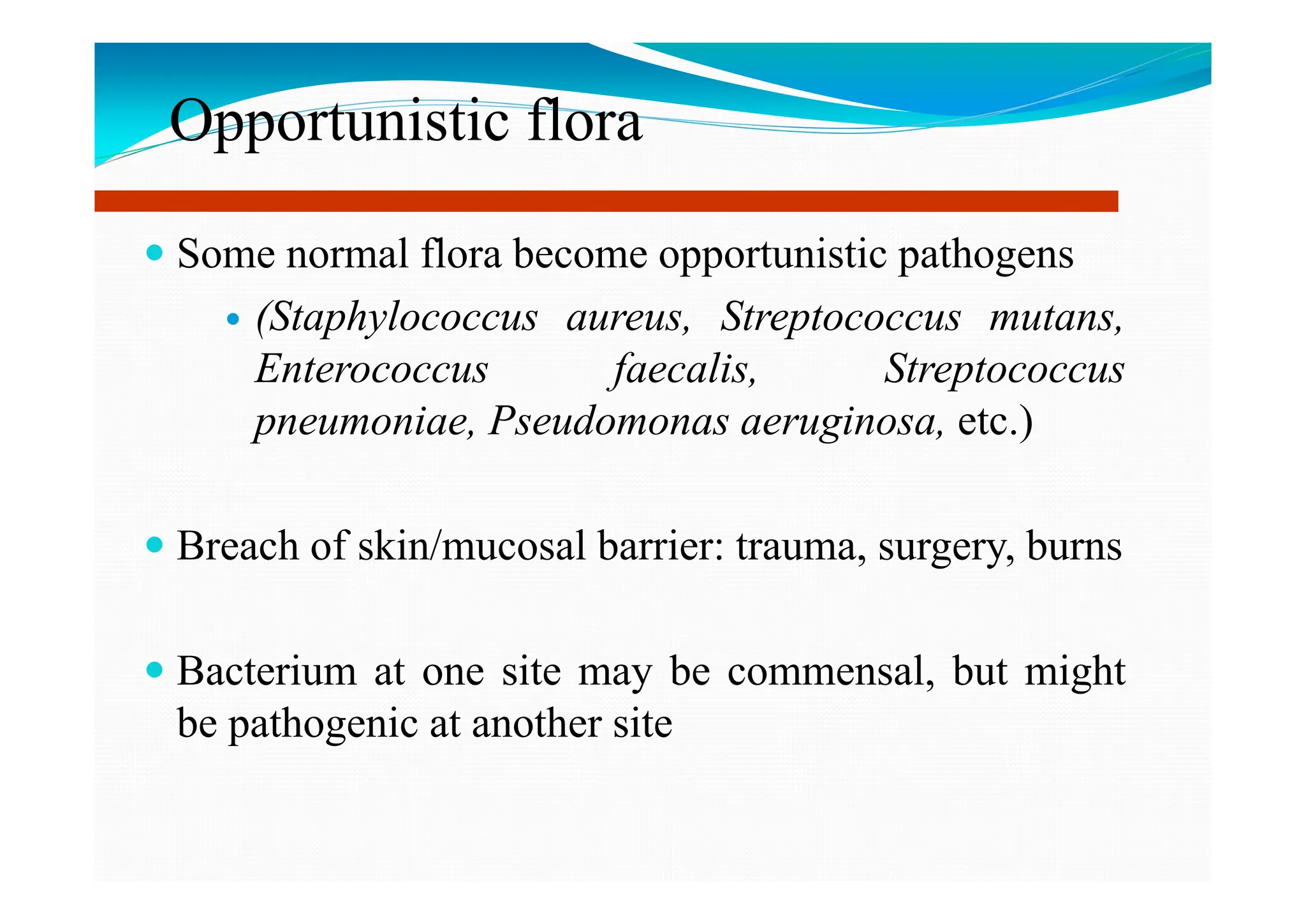 13 Normal flora.pdf for students of microbiology fourth semester | PPT