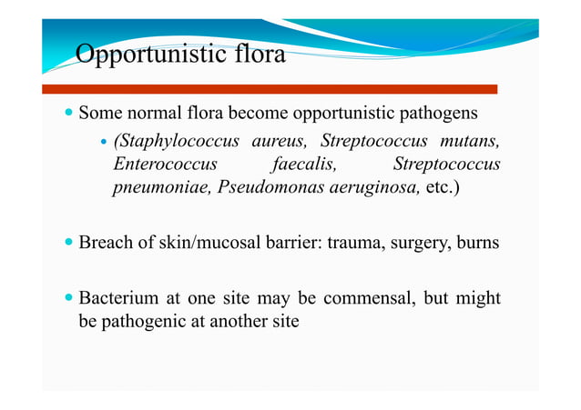 13 Normal flora.pdf for students of microbiology fourth semester | PPT