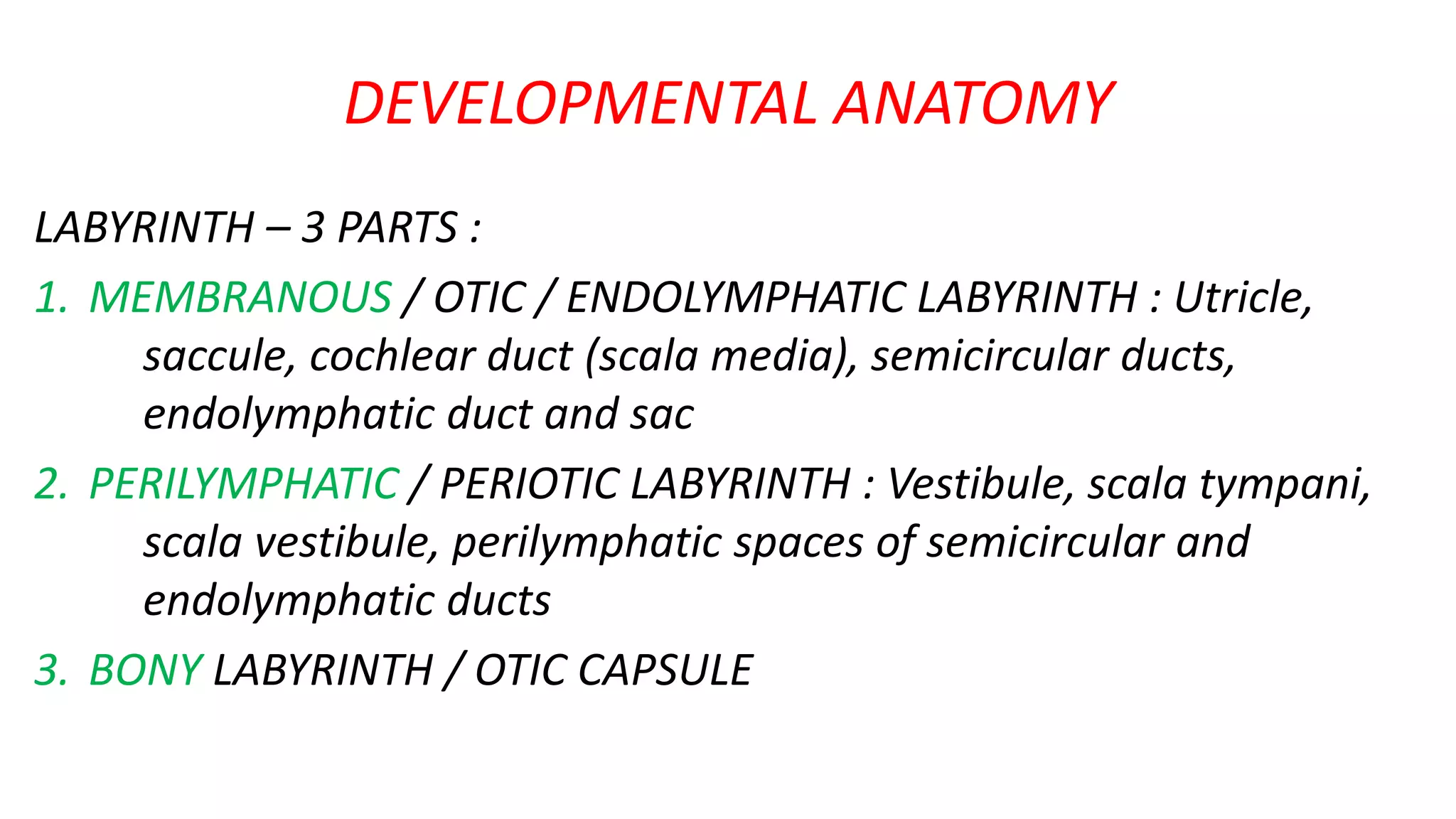 OTOSCLEROSIS | PPTX