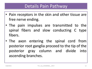 PAIN.pptx | First Aid | Injuries