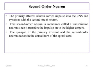 PAIN.pptx | First Aid | Injuries