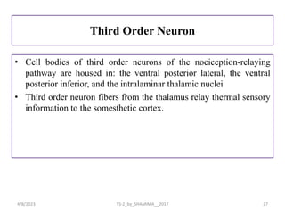 PAIN.pptx | First Aid | Injuries