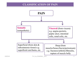 PAIN.pptx | First Aid | Injuries