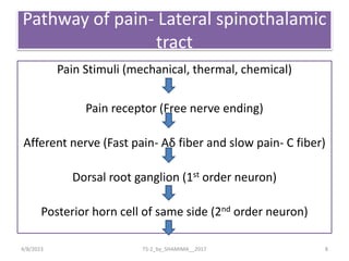PAIN.pptx