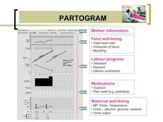 13 partogram | PPT