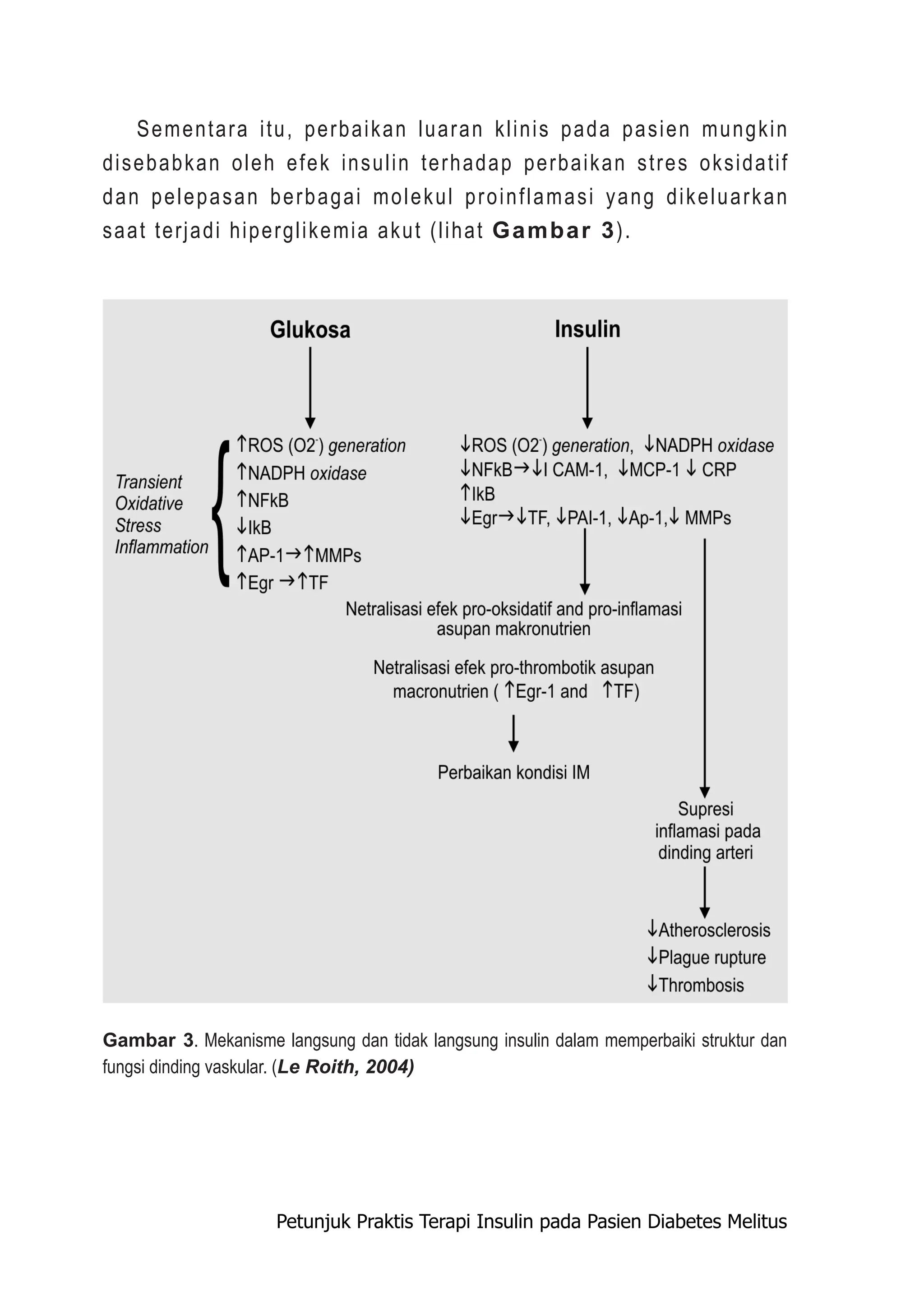 13_Petunjuk Praktis Terapi Insulin pada Pasien Diabetes Melitus.PDF