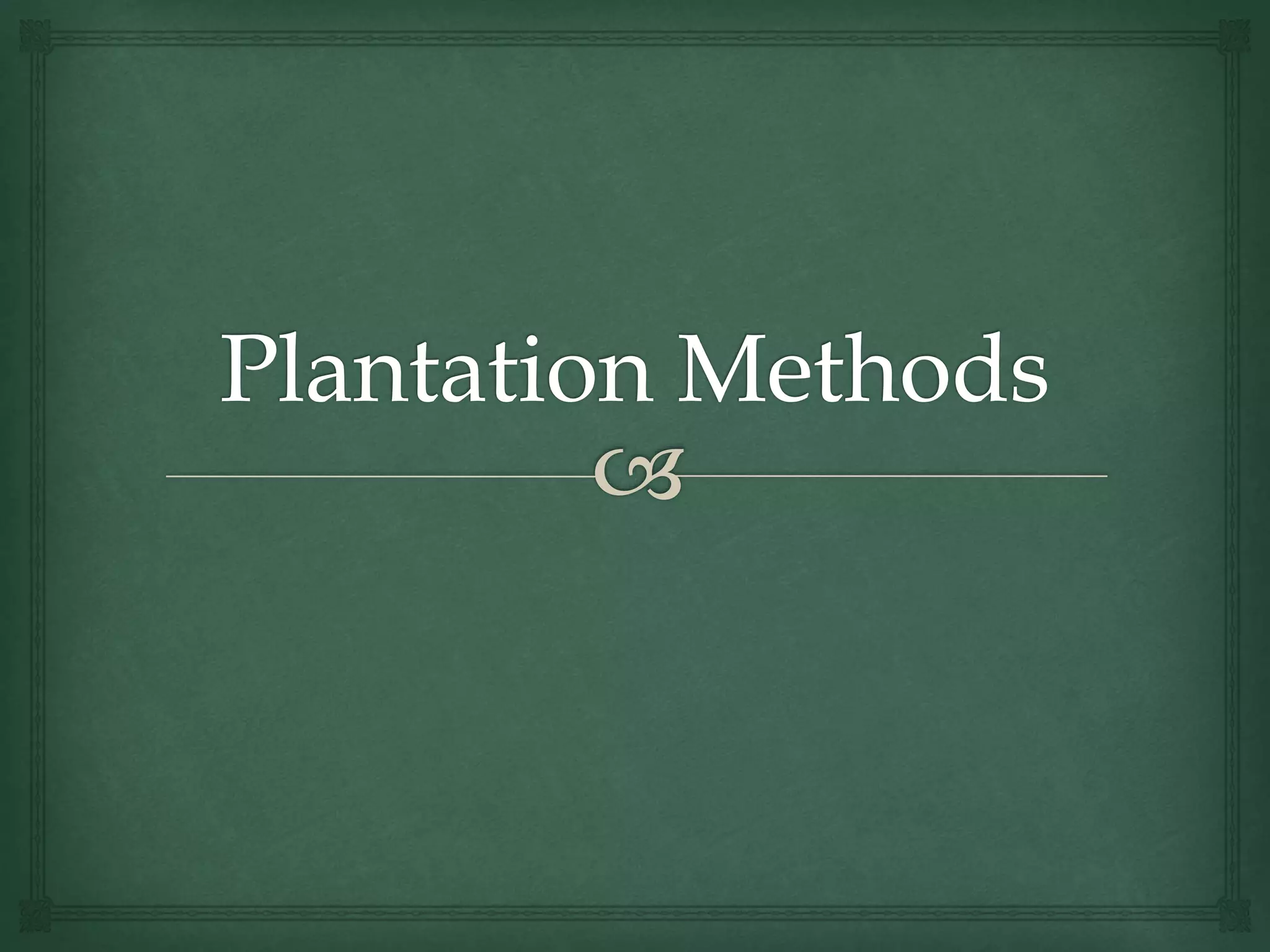 Plantation methods | PPTX