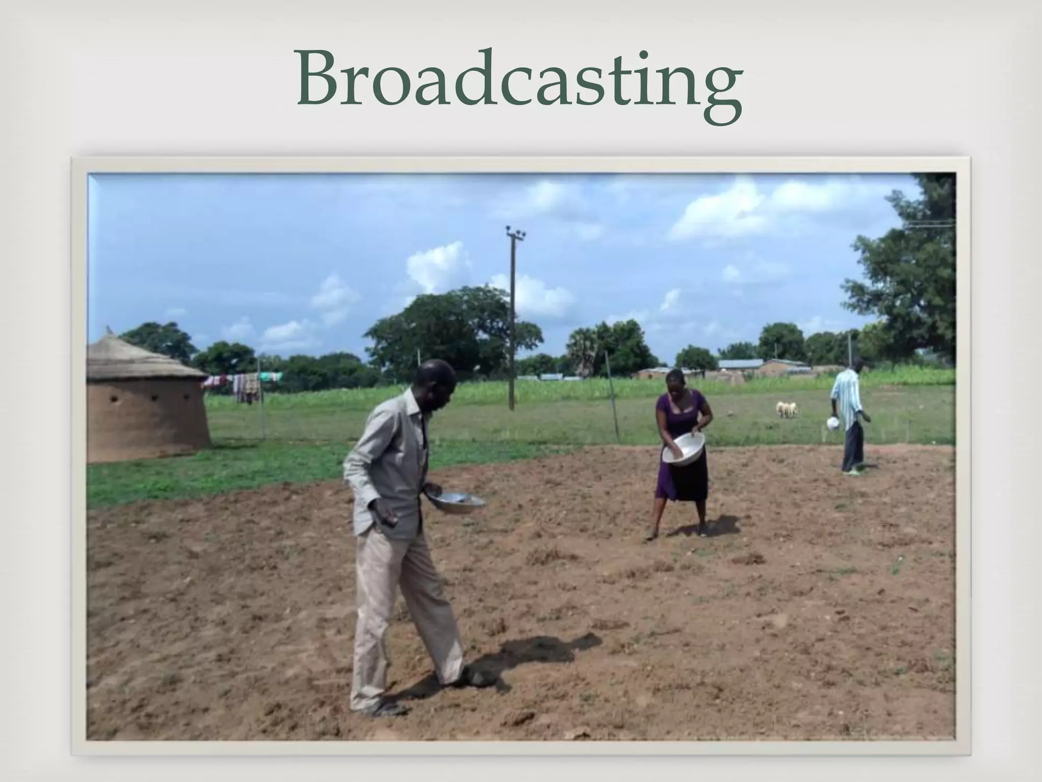 Plantation methods | PPTX