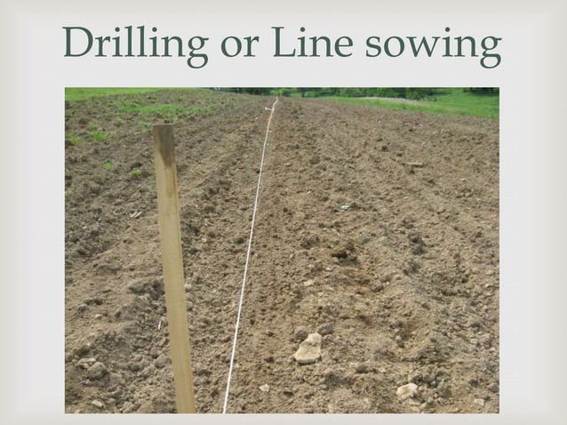 Plantation methods | PPTX