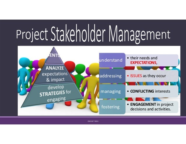 13 project stakeholders management