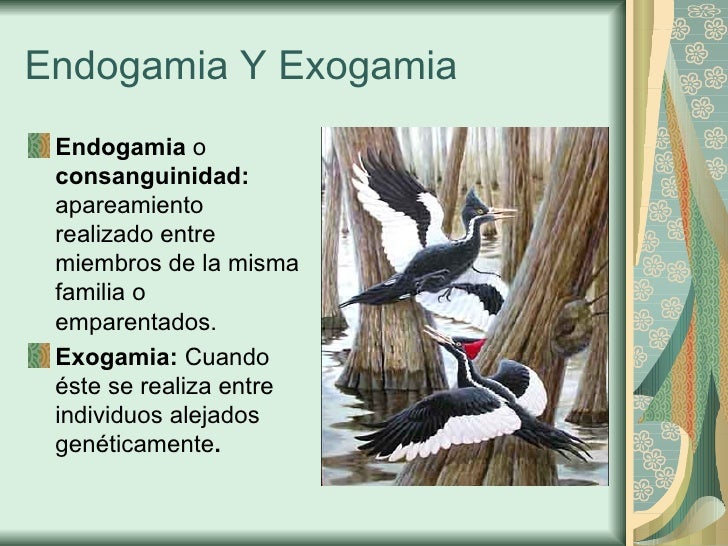 13 Rep. Al Azar Y MutacióN