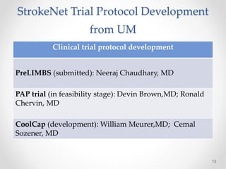 Michigan StrokeNet by Phillip Scott | PPTX