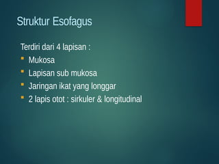 Anatomi dan Fisiologi pada Sistem Pencernaan | PPTX