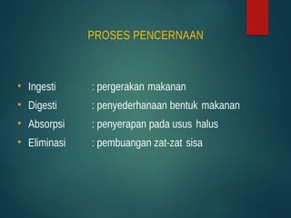 Anatomi dan Fisiologi pada Sistem Pencernaan | PPTX