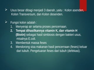 Anatomi dan Fisiologi pada Sistem Pencernaan | PPTX