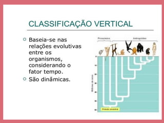 PowerPoint sobre a sistemática de seres vivos - 11 ano | PPT