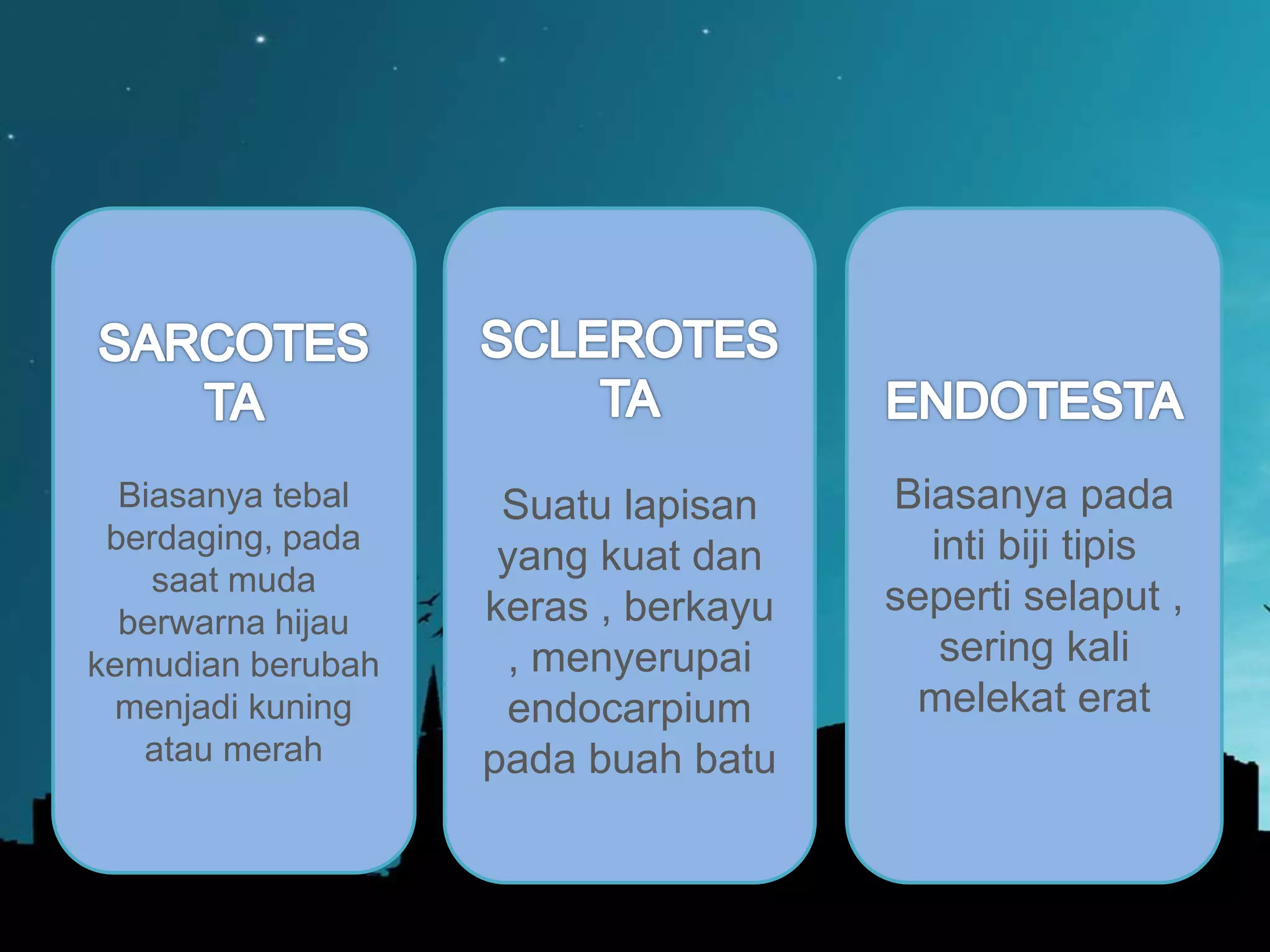 PPT Morfologi Tumbuhan - Biji | PPTX