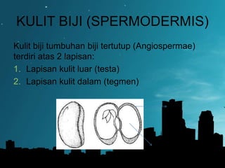 PPT Morfologi Tumbuhan - Biji | PPTX
