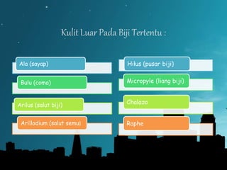 PPT Morfologi Tumbuhan - Biji | PPTX
