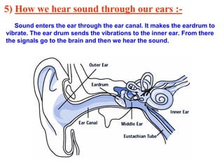 class 8 sound | PPT