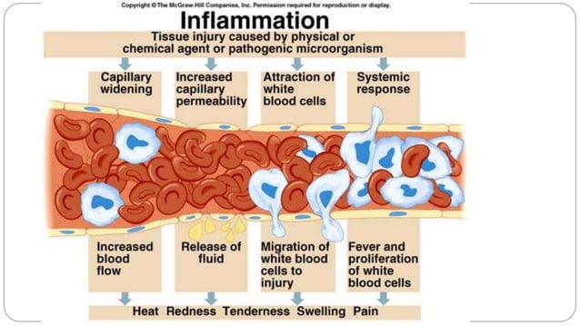 13 Surgical Infections of the Skin and Subcutaneous Tissues.pptx | Skin ...