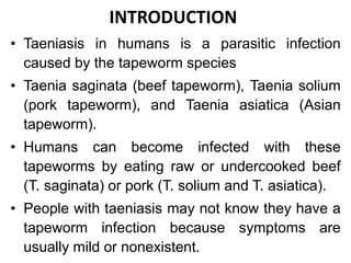 13_Taenia saginata.pdfchresounvivesity lecturer notes | PPT