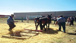 Threshing | PPTX
