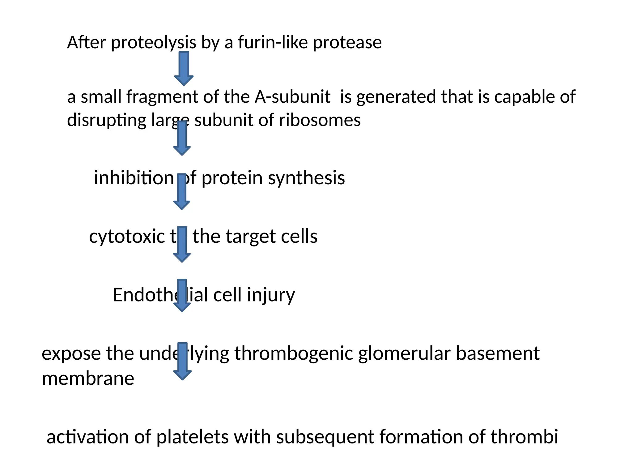 13,,,,Thrombotic thrombocytopenic Purpura (TTP) and Hemolytic-uremic.pptx