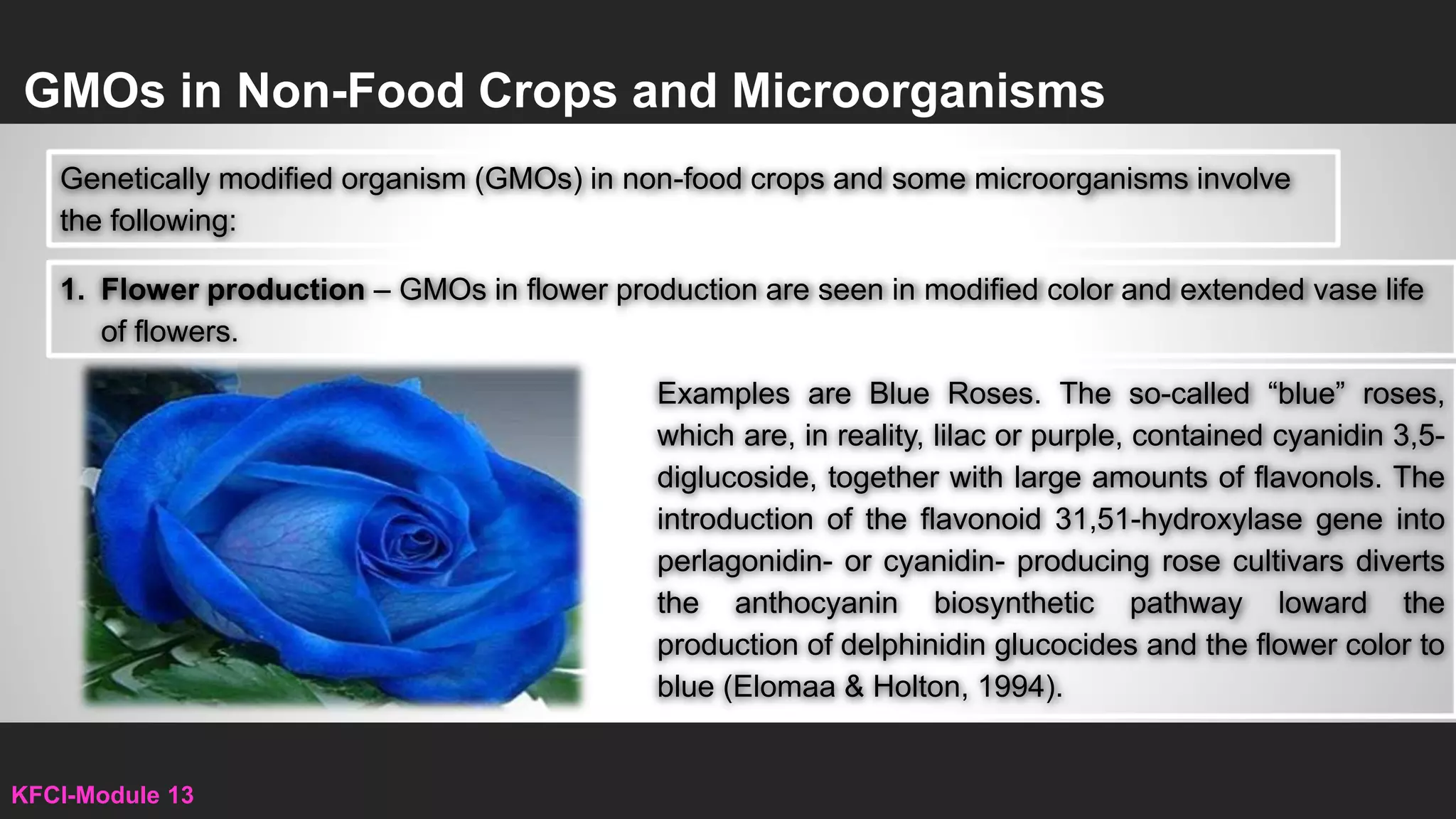 13th week - Genetically Modified Organisms Science, Health, and ...