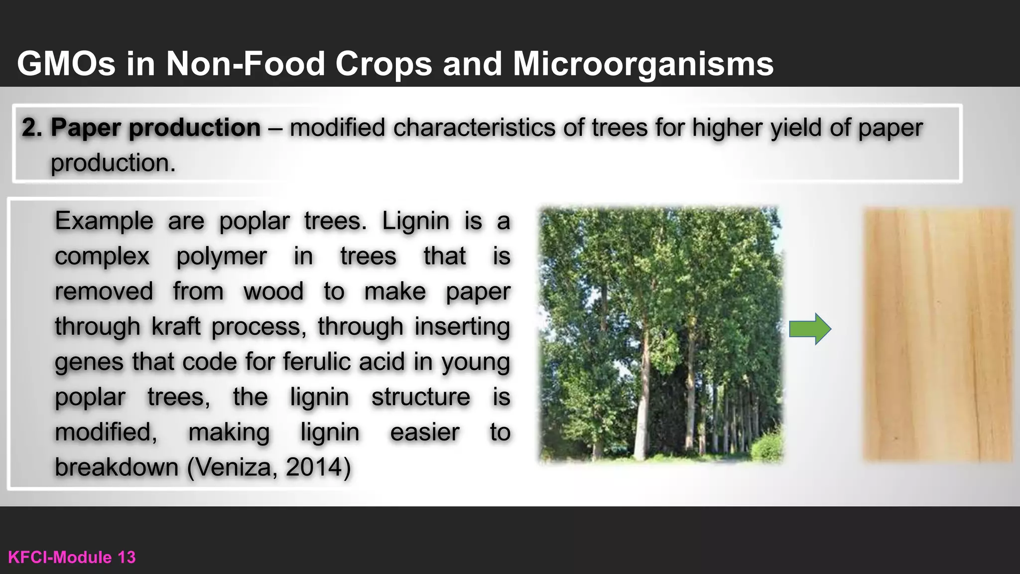 13th week - Genetically Modified Organisms Science, Health, and ...