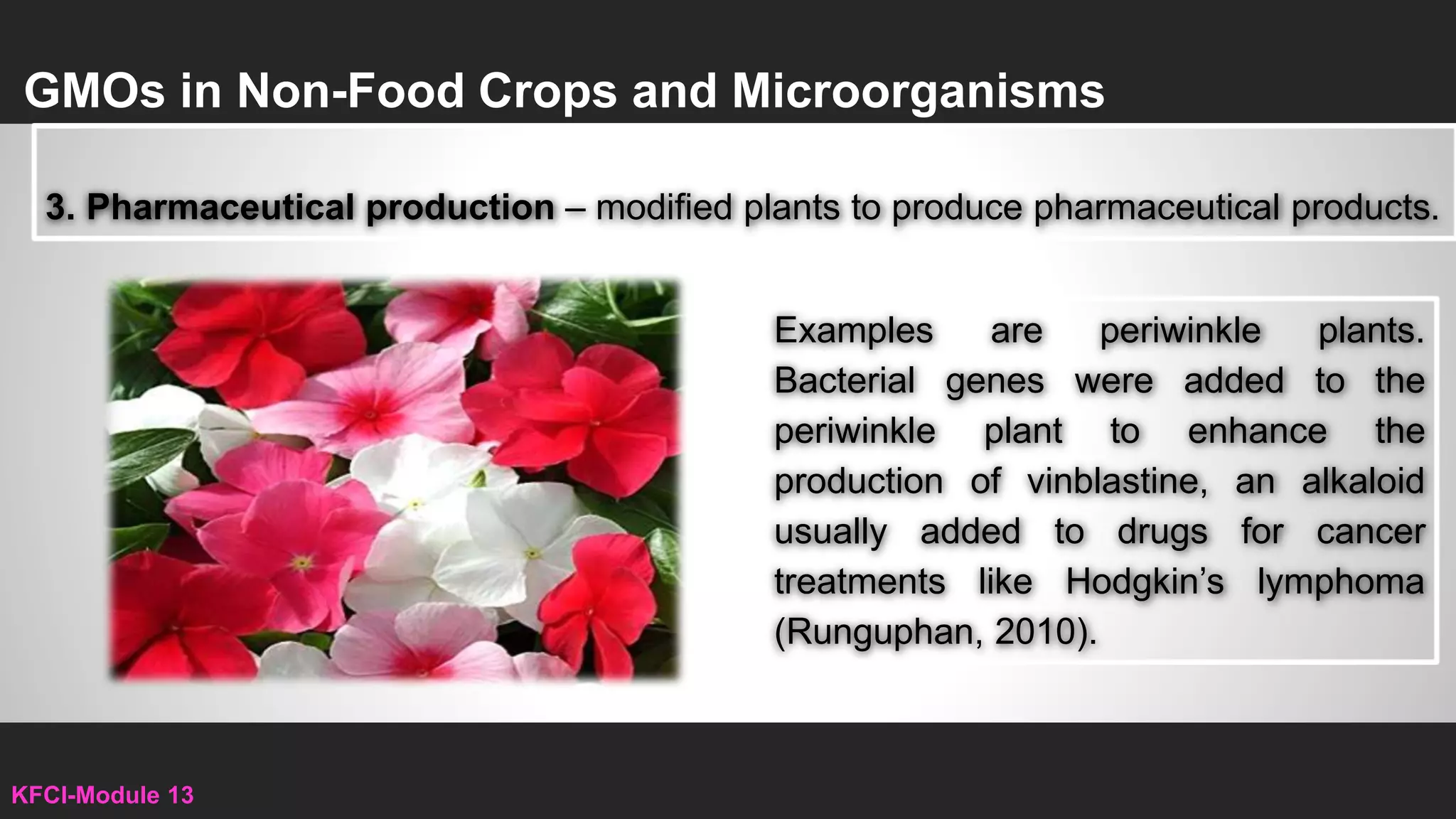 13th week - Genetically Modified Organisms Science, Health, and ...