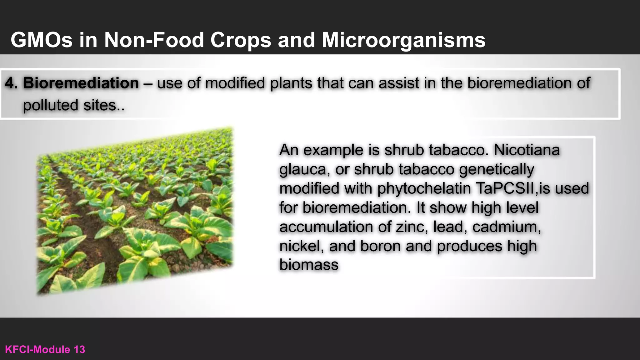 13th week - Genetically Modified Organisms Science, Health, and ...