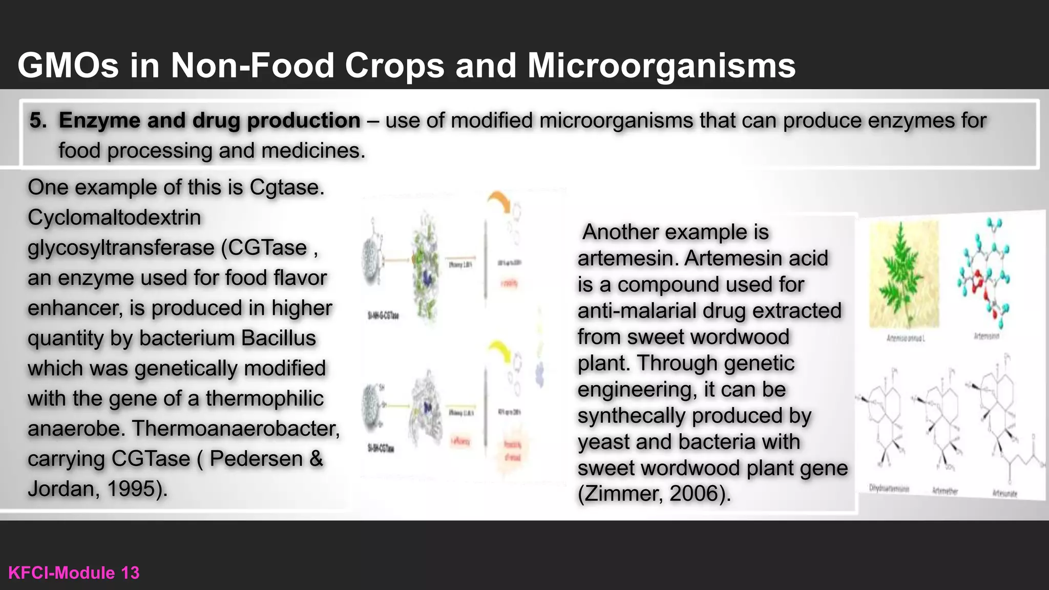 13th week - Genetically Modified Organisms Science, Health, and ...