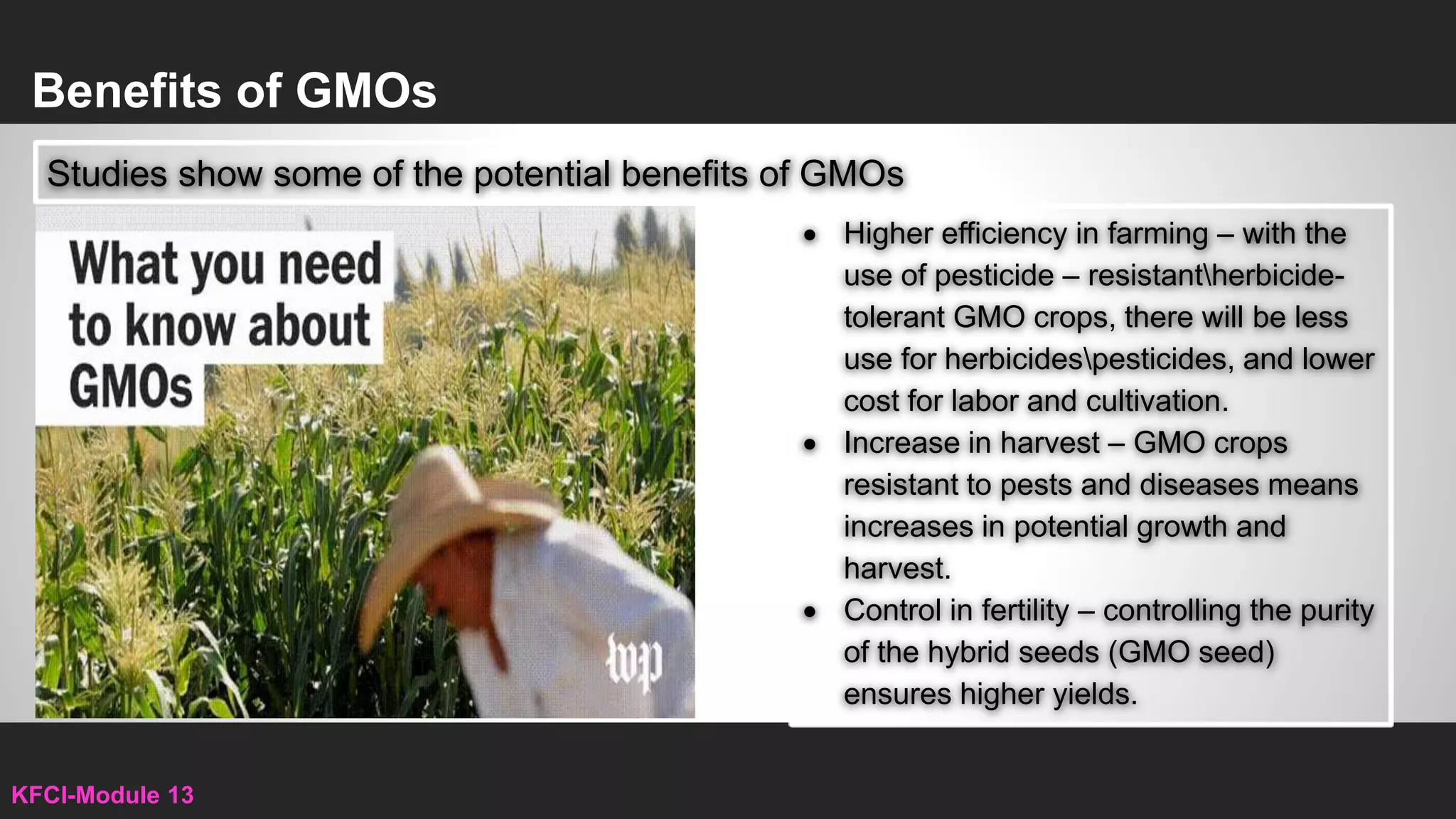 13th week - Genetically Modified Organisms Science, Health, and ...