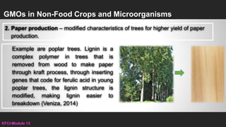 13th week - Genetically Modified Organisms Science, Health, and ...