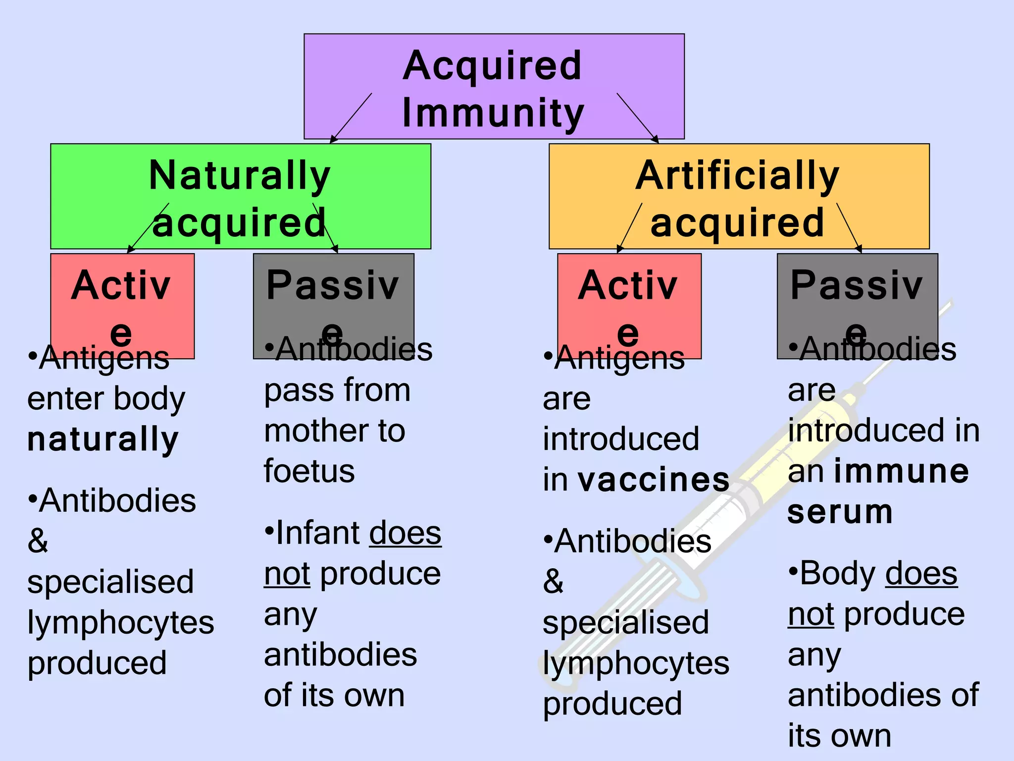 Y8 Humans 13 two types of immunity | PPT