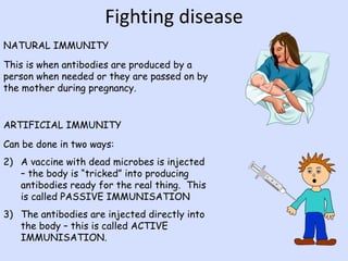 Y8 Humans 13 two types of immunity | PPT