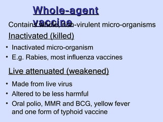 Y8 Humans 13 two types of immunity | PPT