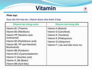 13 vai tro cua vitamin & khoang chat | PDF