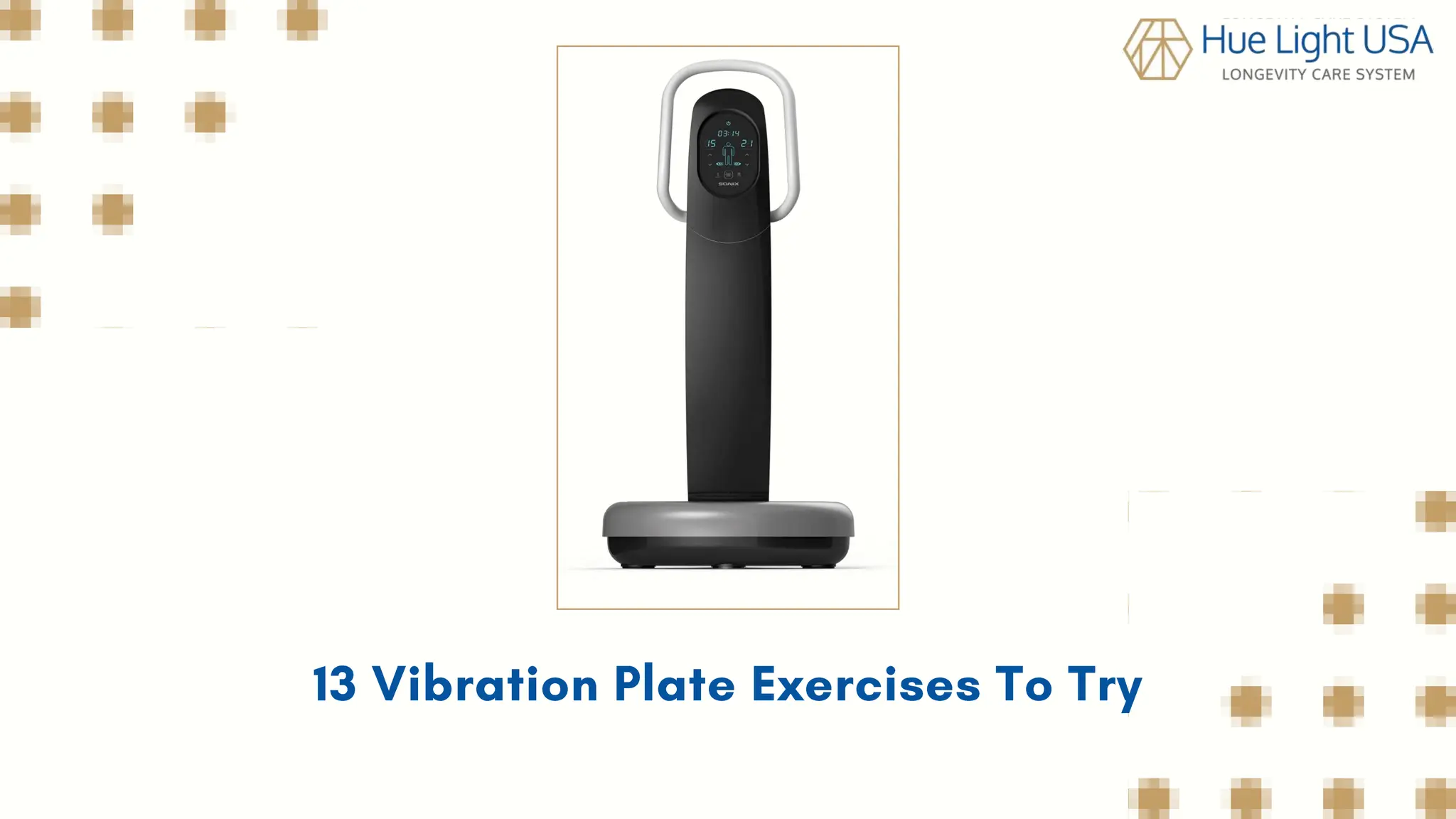13 Vibration Plate Exercises to Try (Getting Started with Vibration ...