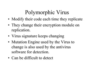 Virus and Worms | PPTX