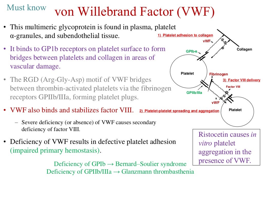 von willebrand disease.ppt