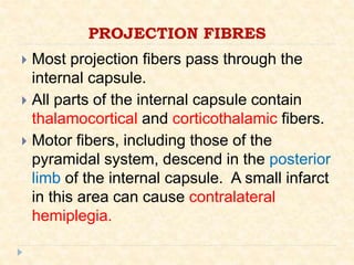 white fibres of cns modified | PPTX