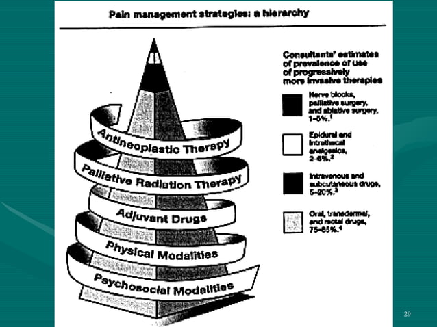 TAEM10:Pain management | PPT