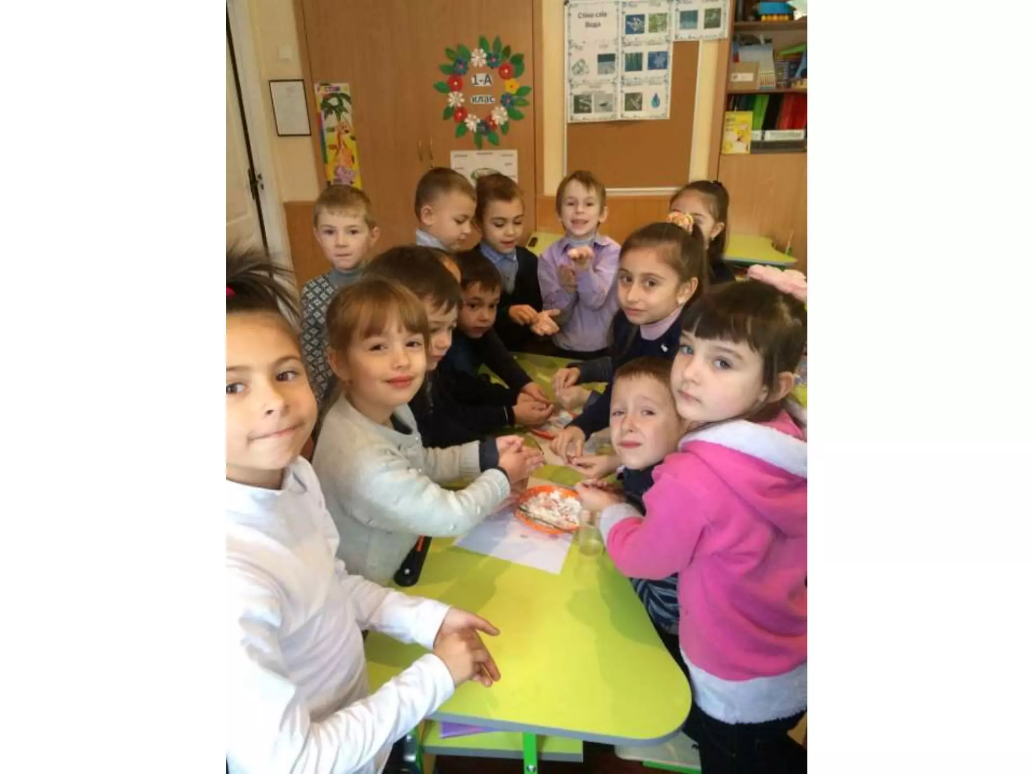 13 zyma 1 klas | PPT