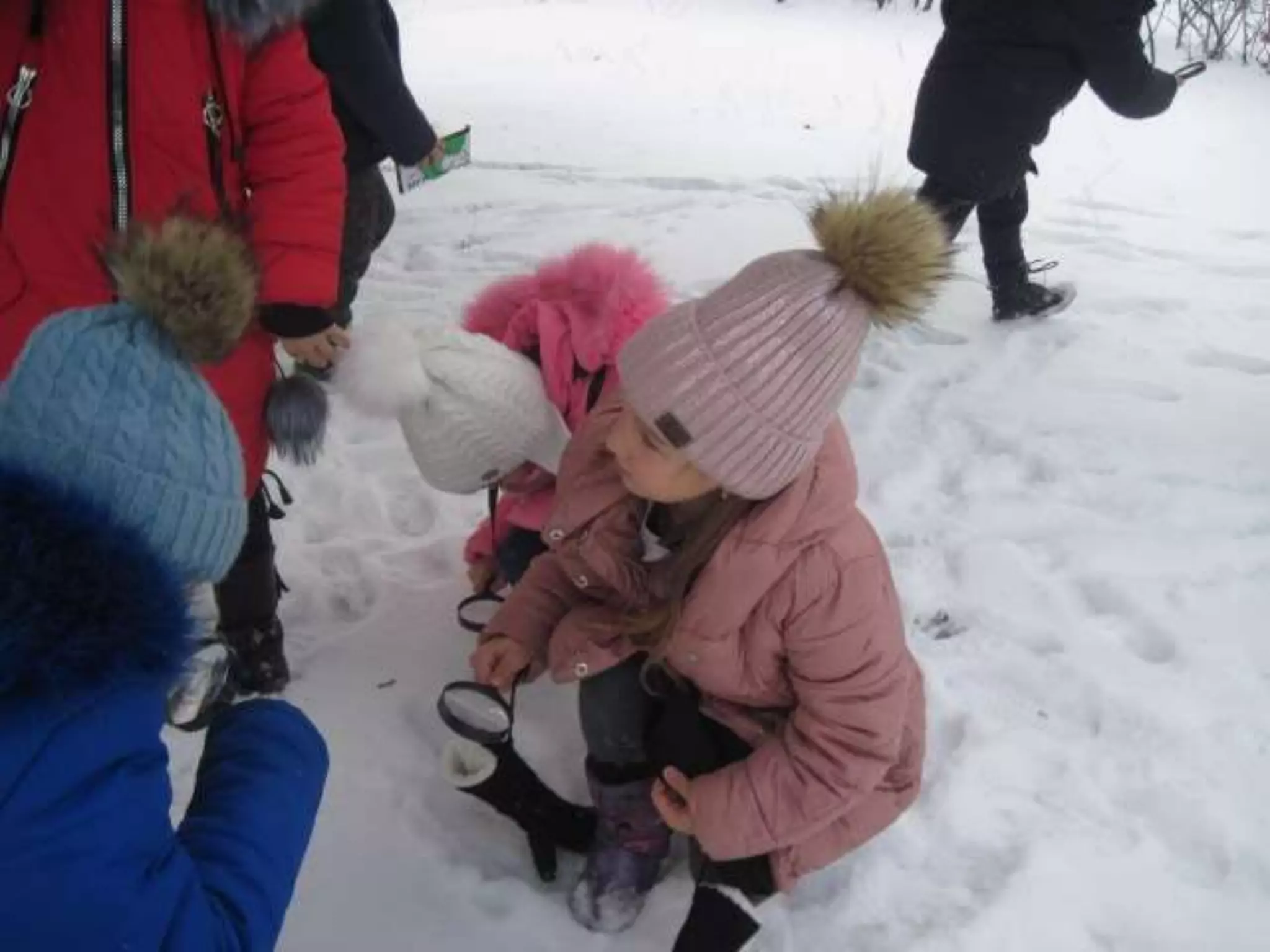 13 zyma 1 klas | PPT