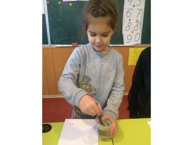 13 zyma 1 klas | PPT