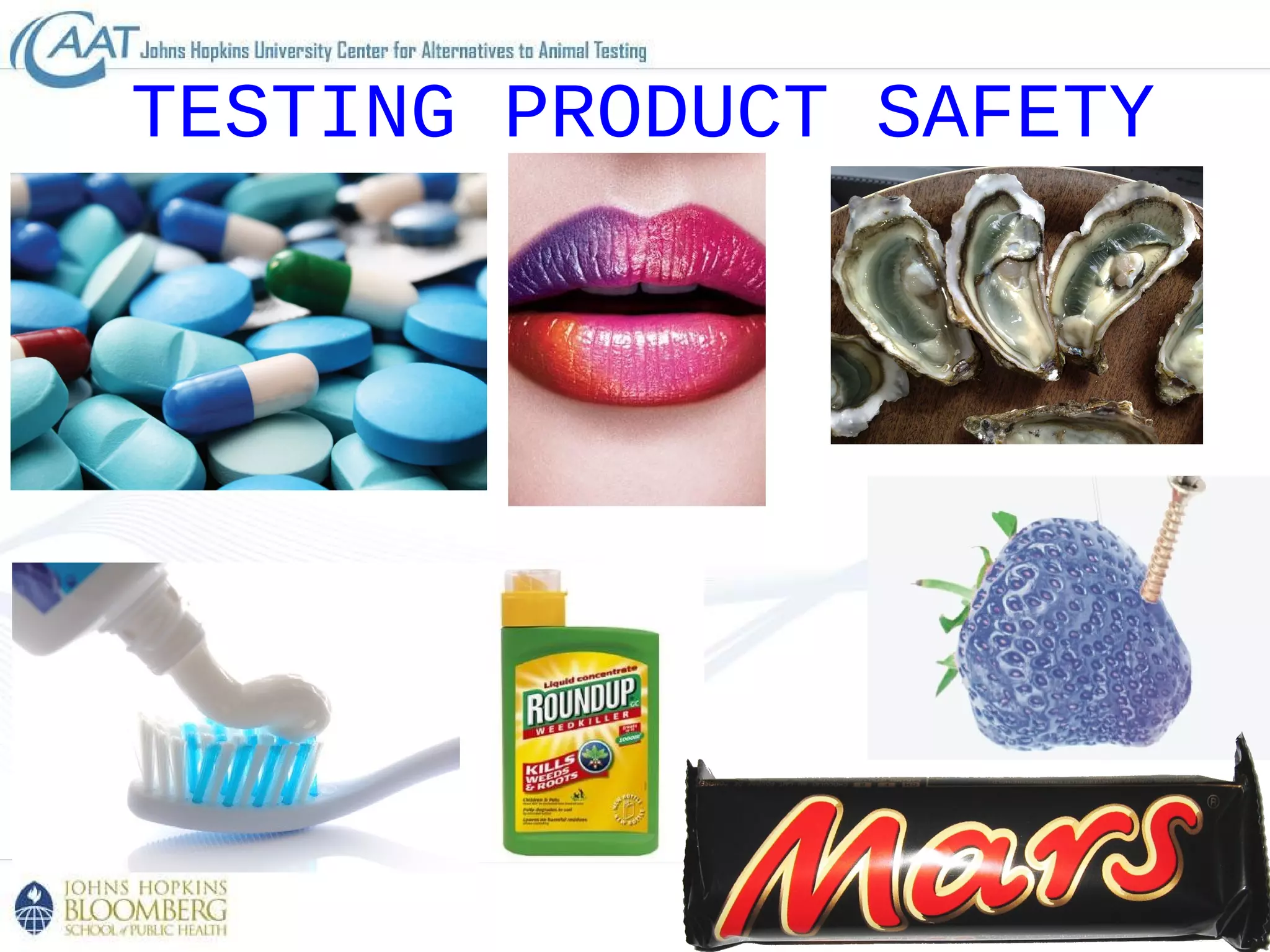 Introduction to alternatives to animal testing in toxicology | PPT