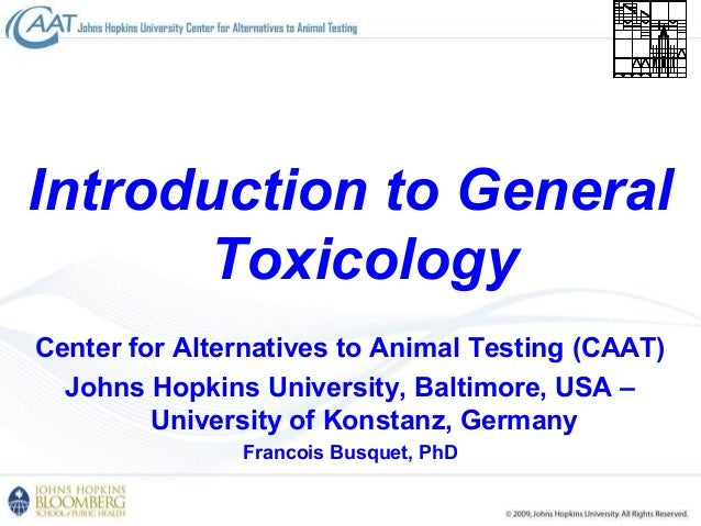 Alternatives To Animal Testing