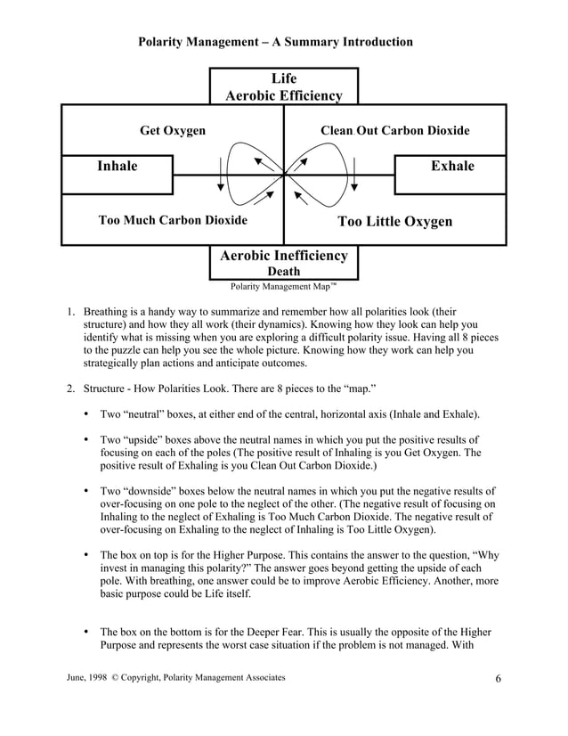 Polarity Thinking | PDF